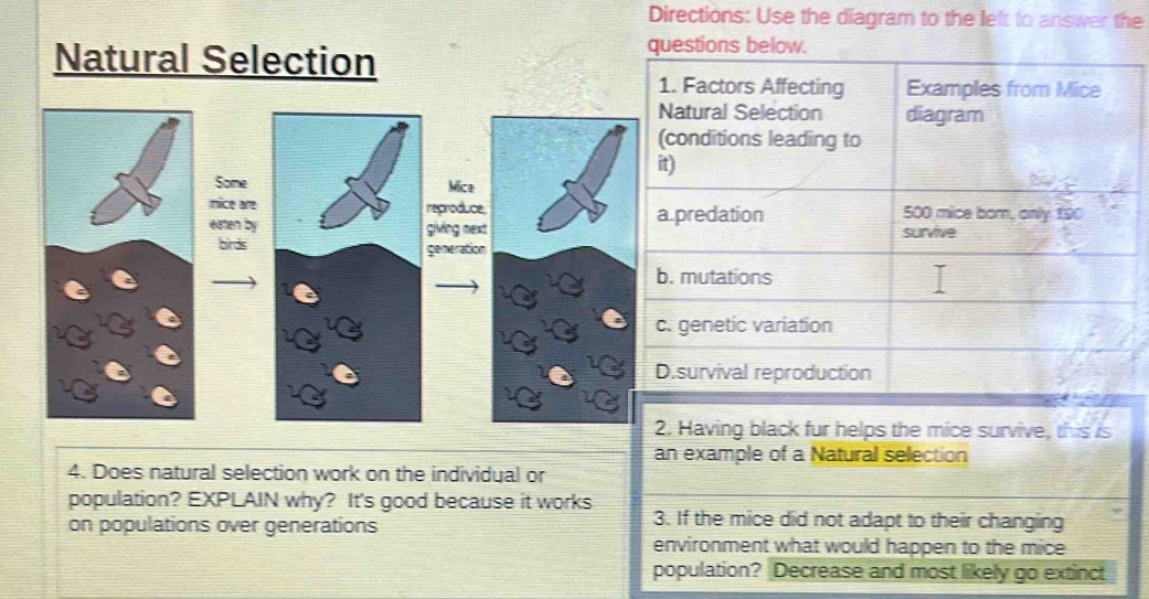 Solved: Directions: Use the diagram to the left to answer the Natural ...