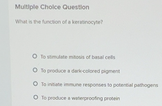 Solved: Question What is the function of a keratinocyte? To stimulate ...