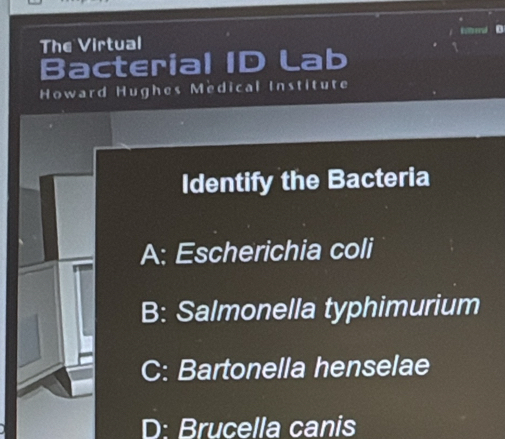 Solved: The Virtual Bacterial ID Lab Howard Hughes Medical Institute A ...