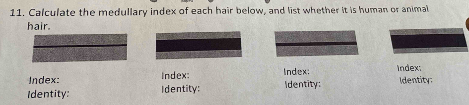 Solved: Calculate the medullary index of each hair below, and list ...