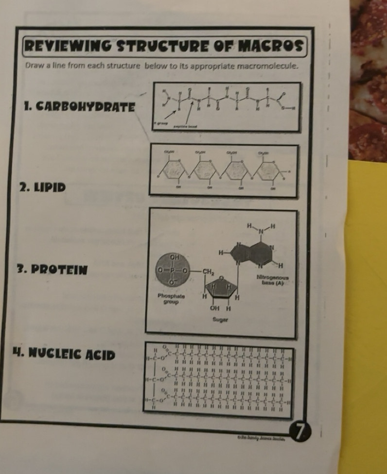 Solved: Reviewing Structure oF Magros Draw a line from each structure ...