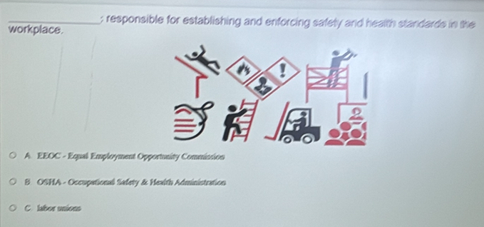 Solved: responsible for establishing and enforcing safety and health ...