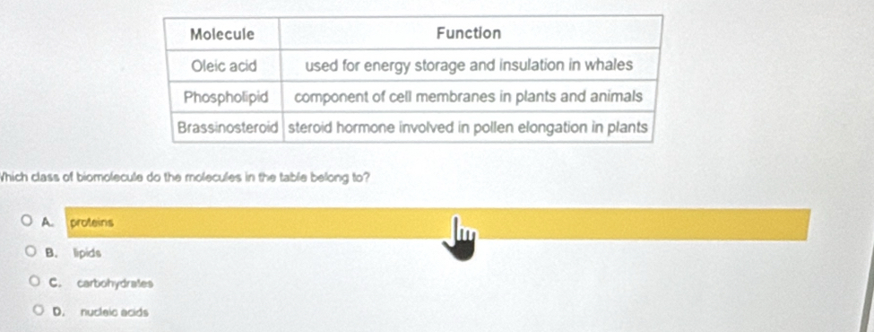 Solved: Molecule Function Oleic acid used for energy storage and ...