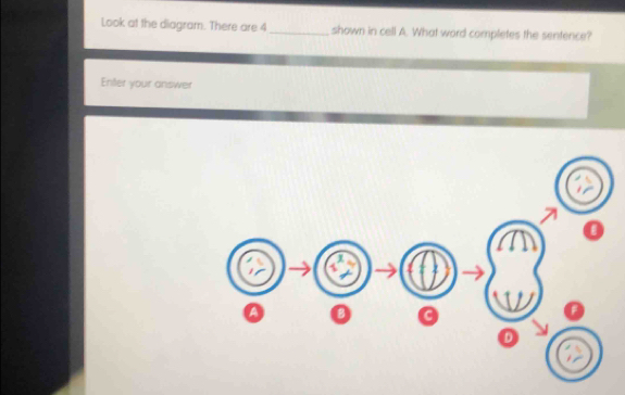 Solved: Look at the diagram. There are 4 _shown in cell A. What word ...