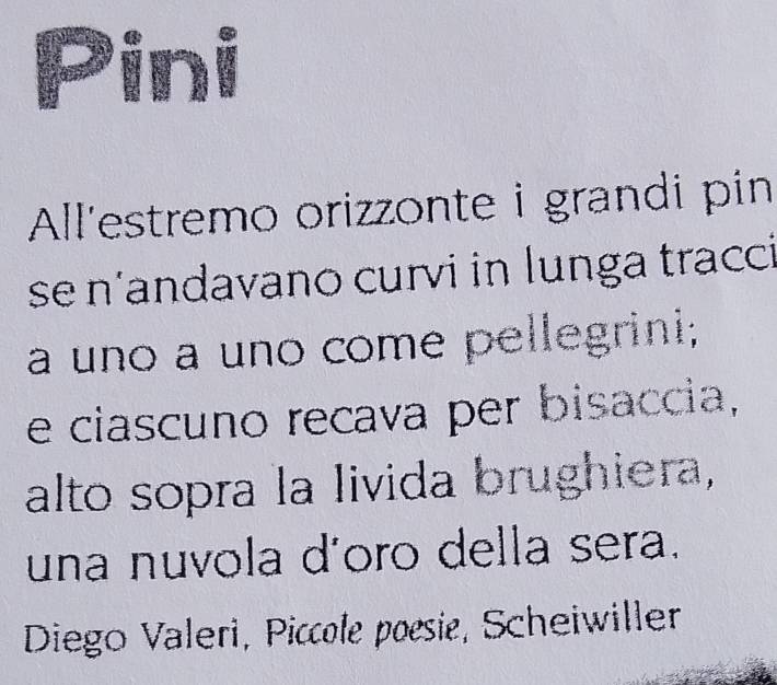 Risolto:Pini All'estremo orizzonte i grandi pin se n´andavano curvi in ...