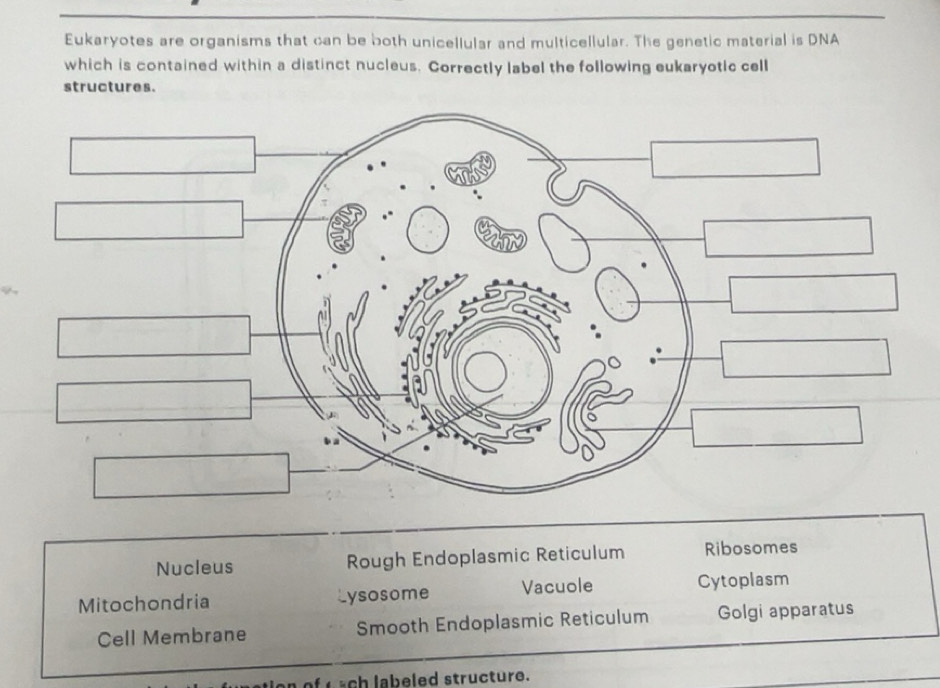 Gelöst:Eukaryotes are organisms that can be both unicellular and ...
