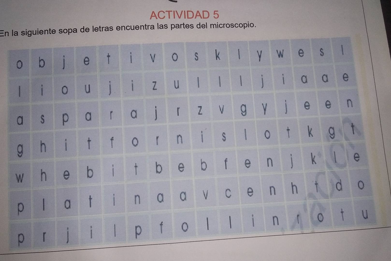 Resuelto:ACTIVIDAD 5 En uiente sopa de letras encuentra las partes del ...