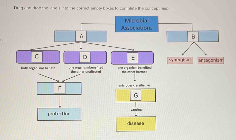 Solved: Drag and drop the labels into the correct empty boxes to complete the concept map ...