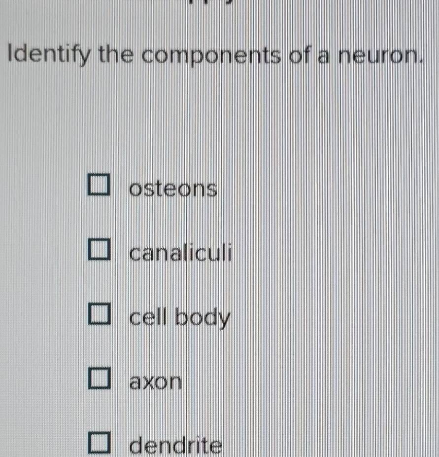 Solved: Identify the components of a neuron. osteons canaliculi cell ...