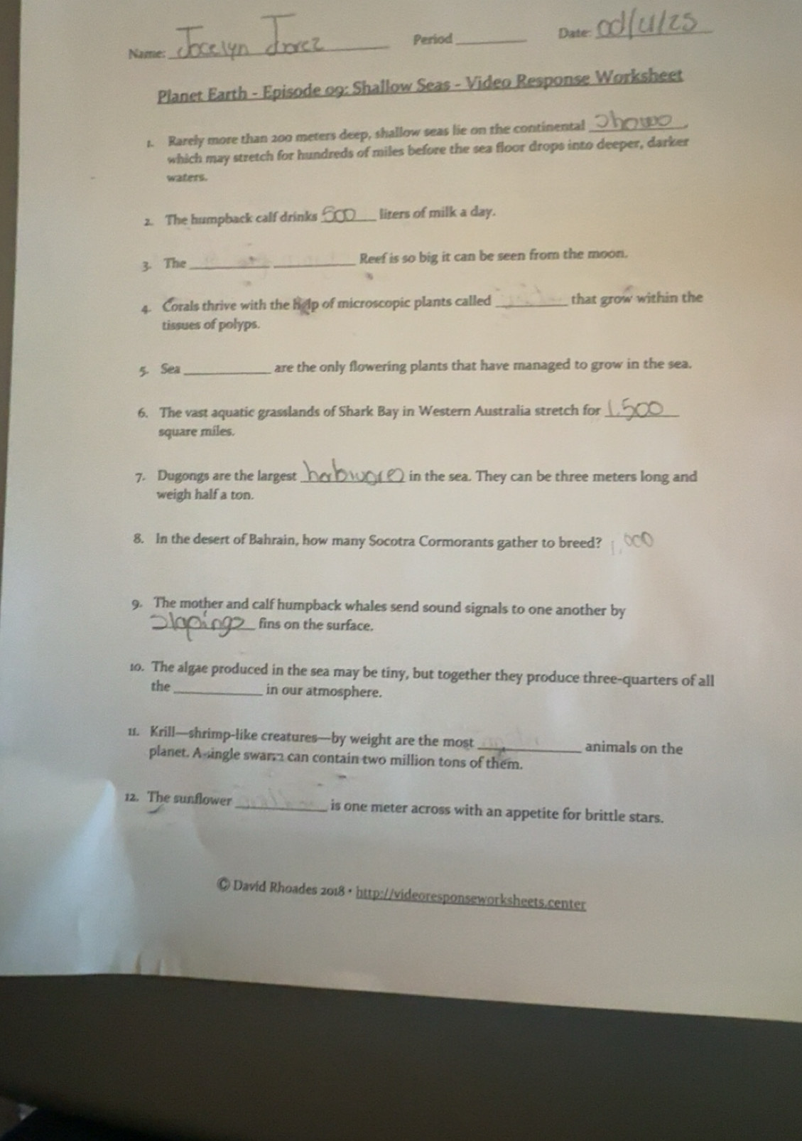 Solved: Period _Date:_ Name: _ Planet Earth - Episode 09: Shallow Seas ...