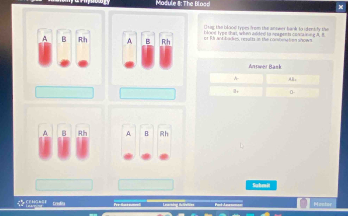 Solved: Module 8: The Blood × Drag the blood types from the answer bank ...