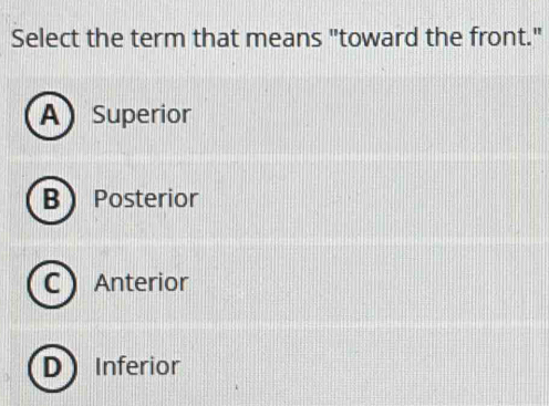 Solved: Select the term that means "toward the front." A Superior B ...
