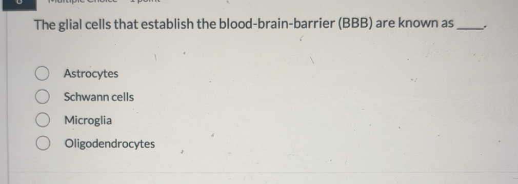Solved: The glial cells that establish the blood-brain-barrier (BBB ...