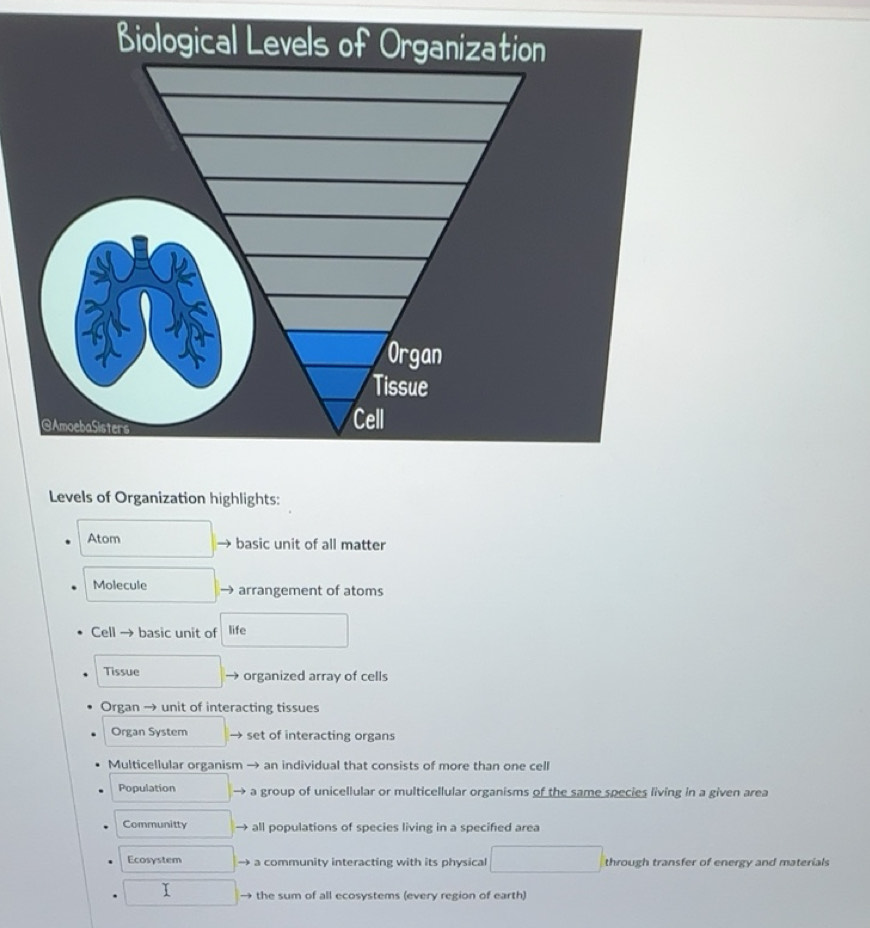 Resuelto:Biological Levels of Org Levels of Organization highlights ...
