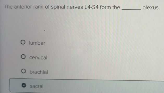 Solved: The anterior rami of spinal nerves L4-S4 form the _plexus ...