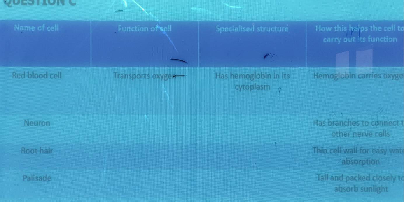 Telah dijawab:Name of cell Function of cell Specialised structure How ...