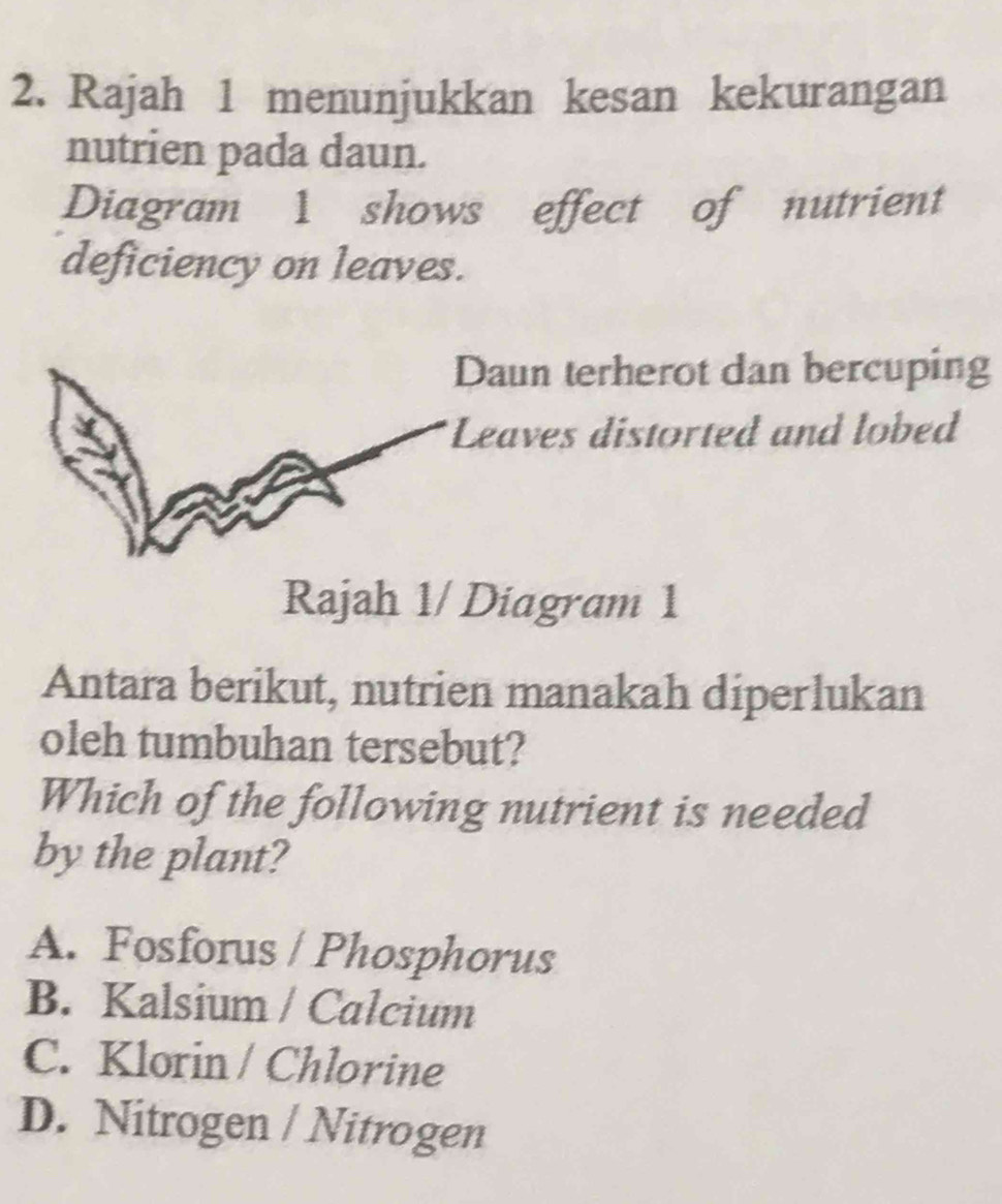 Selesai:Rajah 1 menunjukkan kesan kekurangan nutrien pada daun. Diagram ...