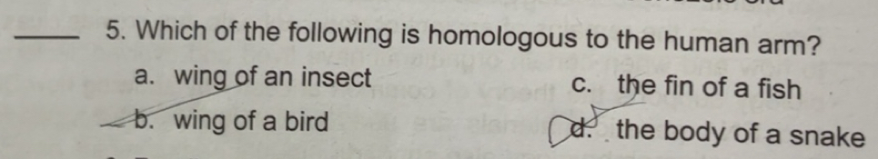 Solved: Which of the following is homologous to the human arm? a. wing ...