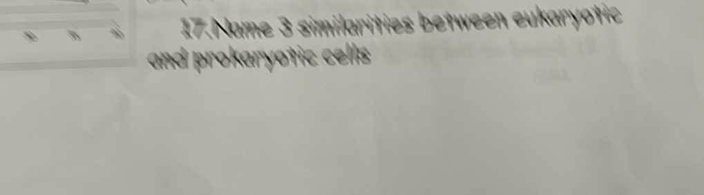 Solved: Name 3 similarities between eukaryotic and prokaryotic cells ...