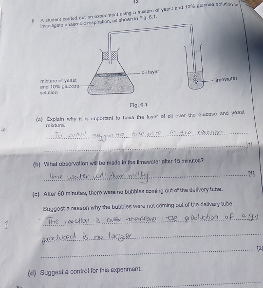 Solved: carried out an experiment using a mixture of yeast and 10% ...