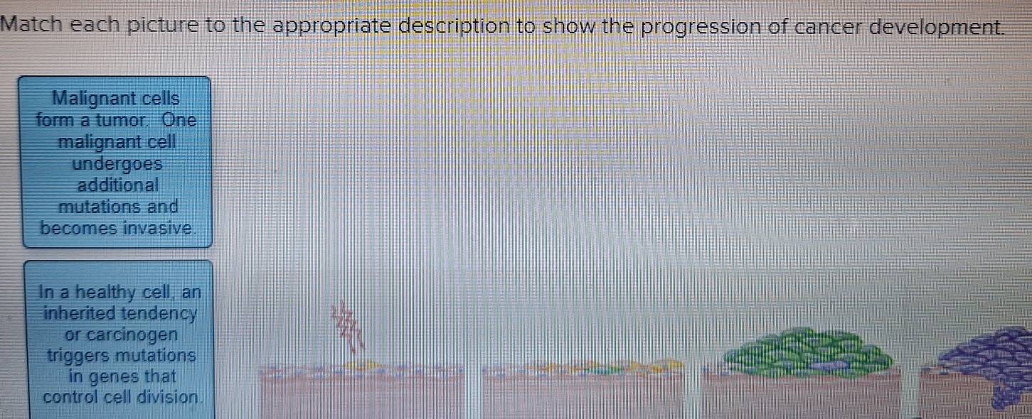 Solved: Match each picture to the appropriate description to show the ...