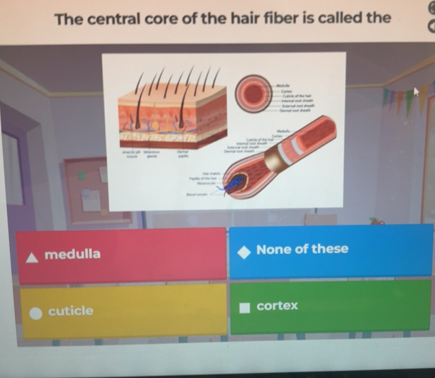 Solved: The central core of the hair fiber is called the medulla None ...