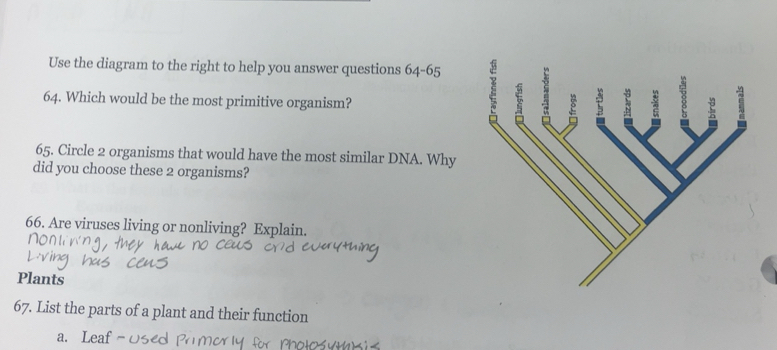 Gelöst:Use the diagram to the right to help you answer questions 64-65 ...