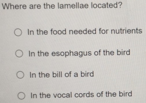Solved: Where are the lamellae located? In the food needed for ...