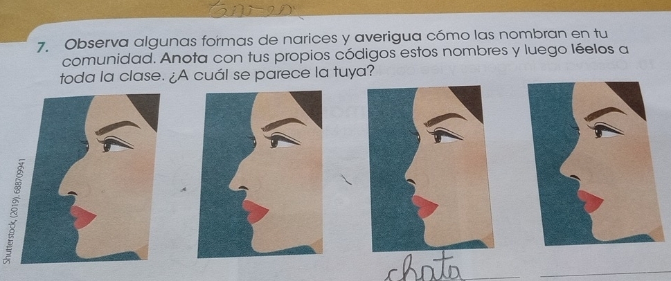 Resuelto:Observa algunas formas de narices y averigua cómo las nombran ...