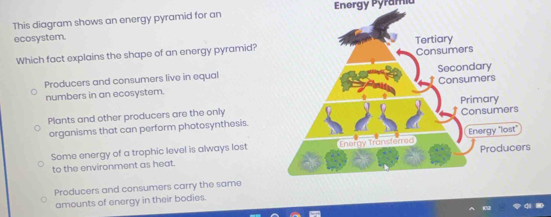 Solved: Energy Pyramiu This diagram shows an energy pyramid for an ...
