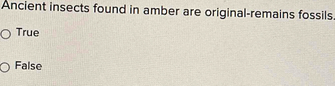 Ancient insects found in amber are original-remains fossils True False ...