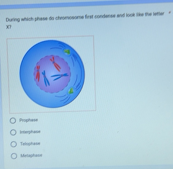 Solved: During which phase do chromosome first condense and look like ...