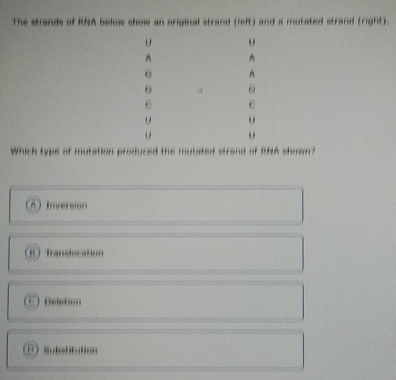 Solved: The strands of RNA below show an original strand (left) and a ...