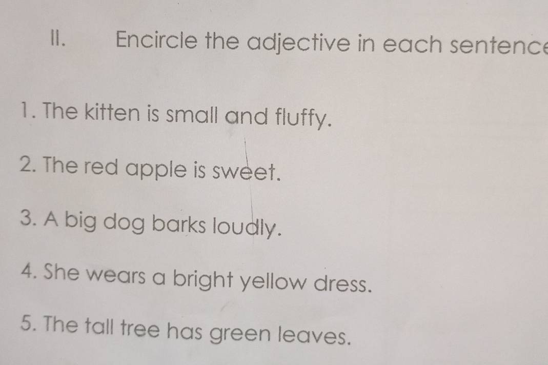 Solved: Encircle the adjective in each sentence 1. The kitten is small ...