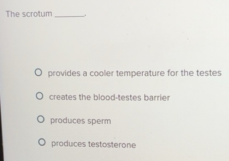 Solved: The scrotum _. provides a cooler temperature for the testes ...
