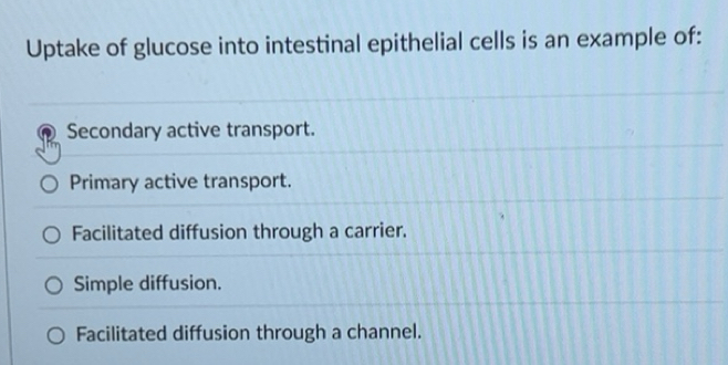 Solved: Uptake of glucose into intestinal epithelial cells is an ...