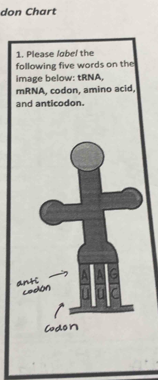 Solved: don Chart 1. Please /abel the following five words on the image ...