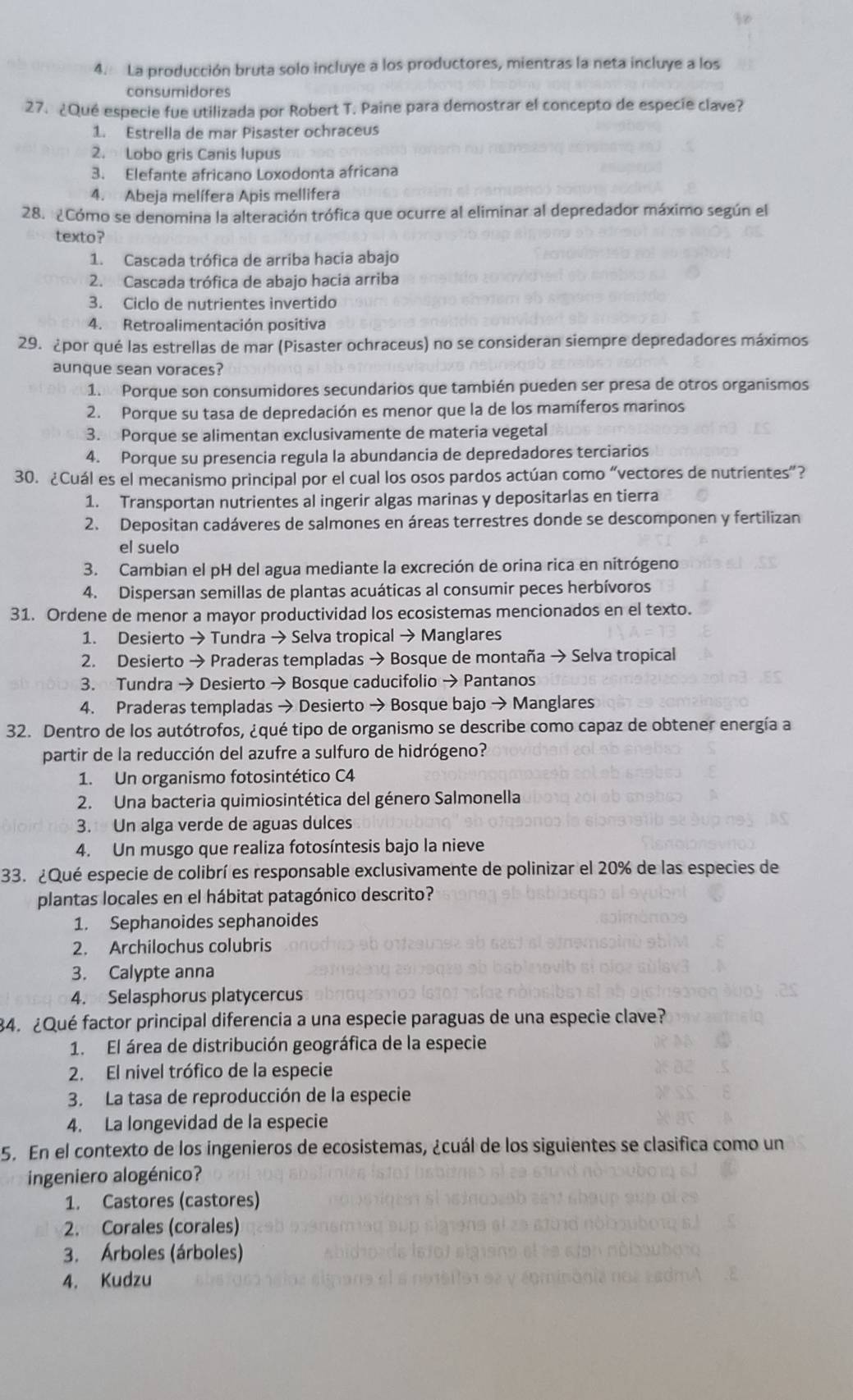 Resuelto:4. La producción bruta solo incluye a los productores ...