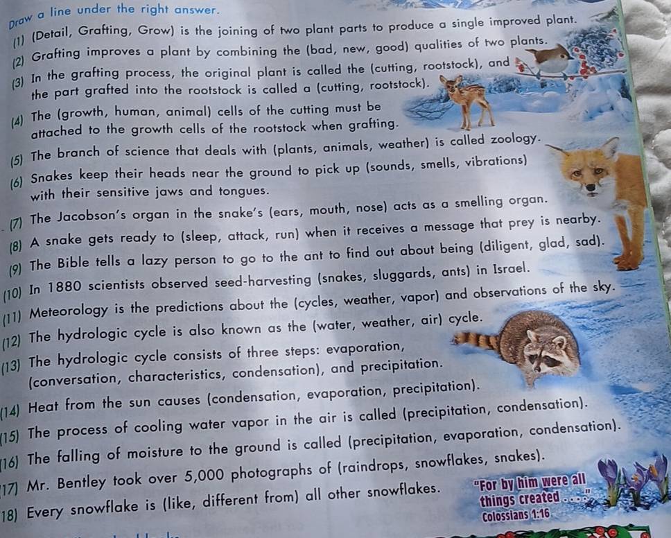 Solved: Draw a line under the right answer. (1) (Detail, Grafting, Grow ...