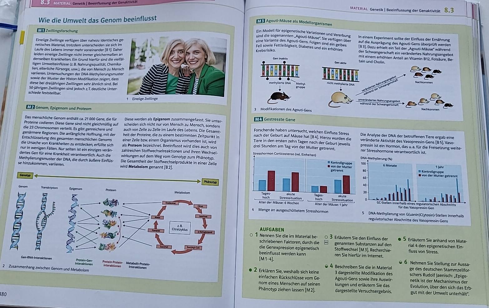 Gelöst:0.5 MATERIAL Genetik | Beeinflussung der Genaktivität MATERIAL ...