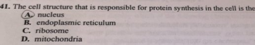 Solved: The cell structure that is responsible for protein synthesis in ...