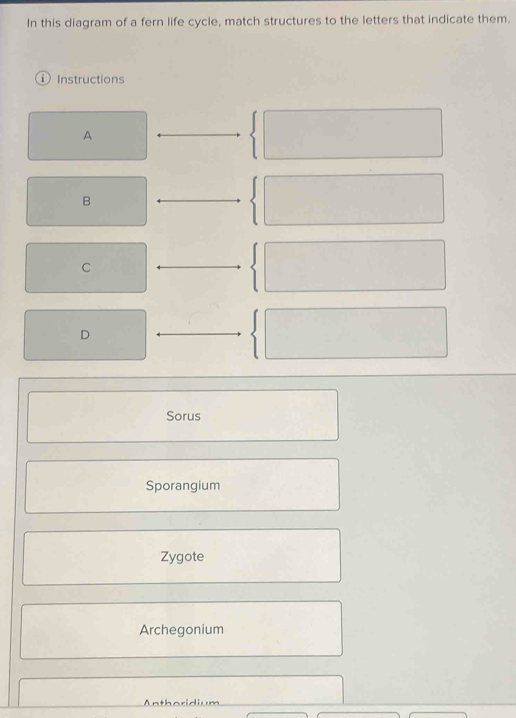 Solved: In this diagram of a fern life cycle, match structures to the ...