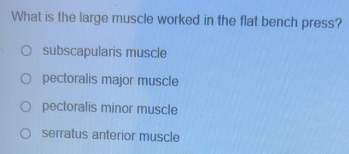 Gelöst:What is the large muscle worked in the flat bench press ...