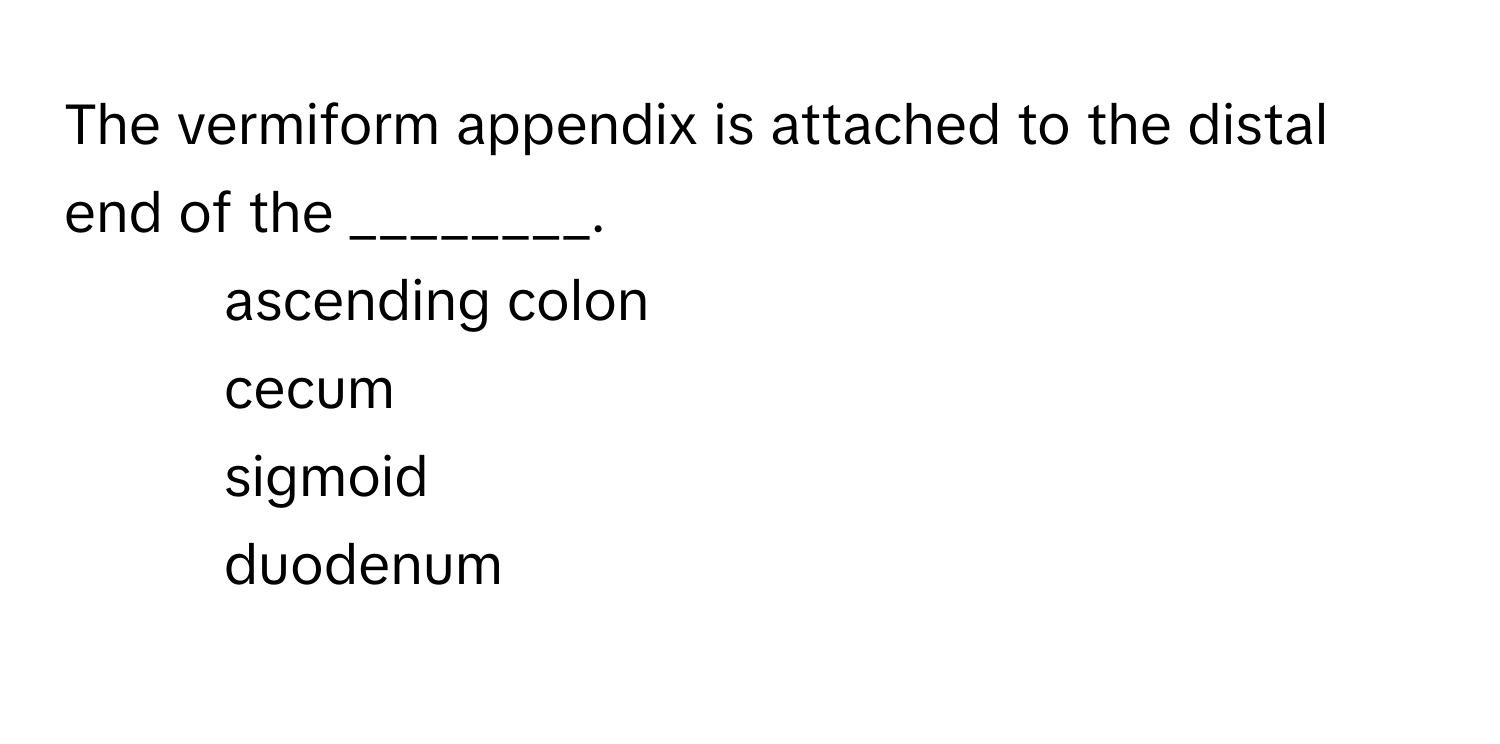 Solved: The vermiform appendix is attached to the distal end of the ...