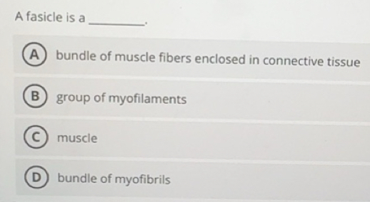 Solved: A fasicle is a_ . A bundle of muscle fibers enclosed in ...
