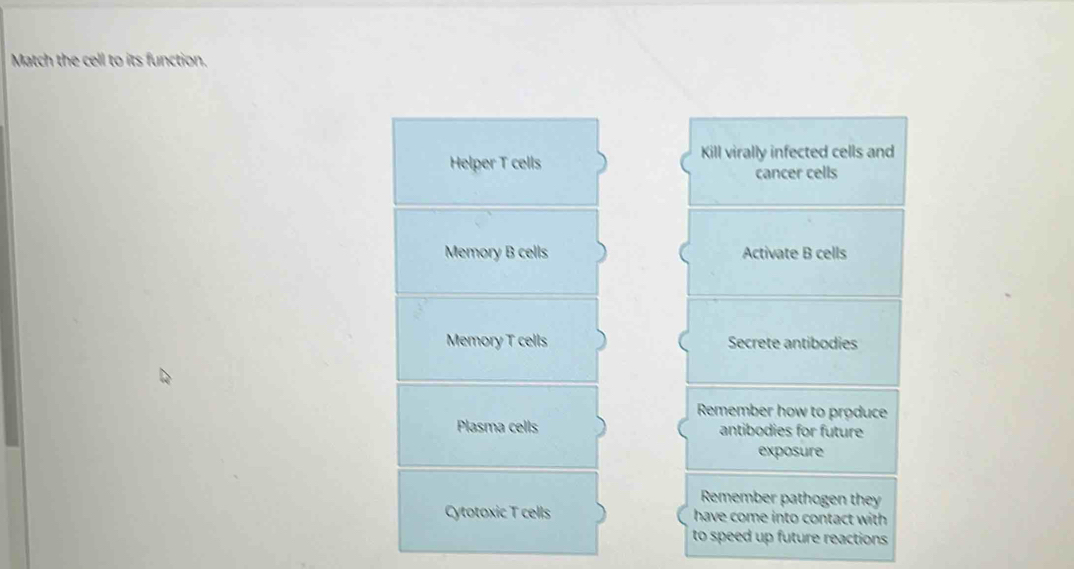 Solved: Match the cell to its function. Helper T cells Kill virally ...