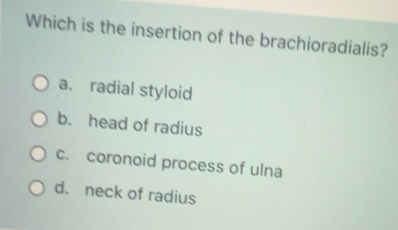 Solved: Which is the insertion of the brachioradialis? a. radial ...