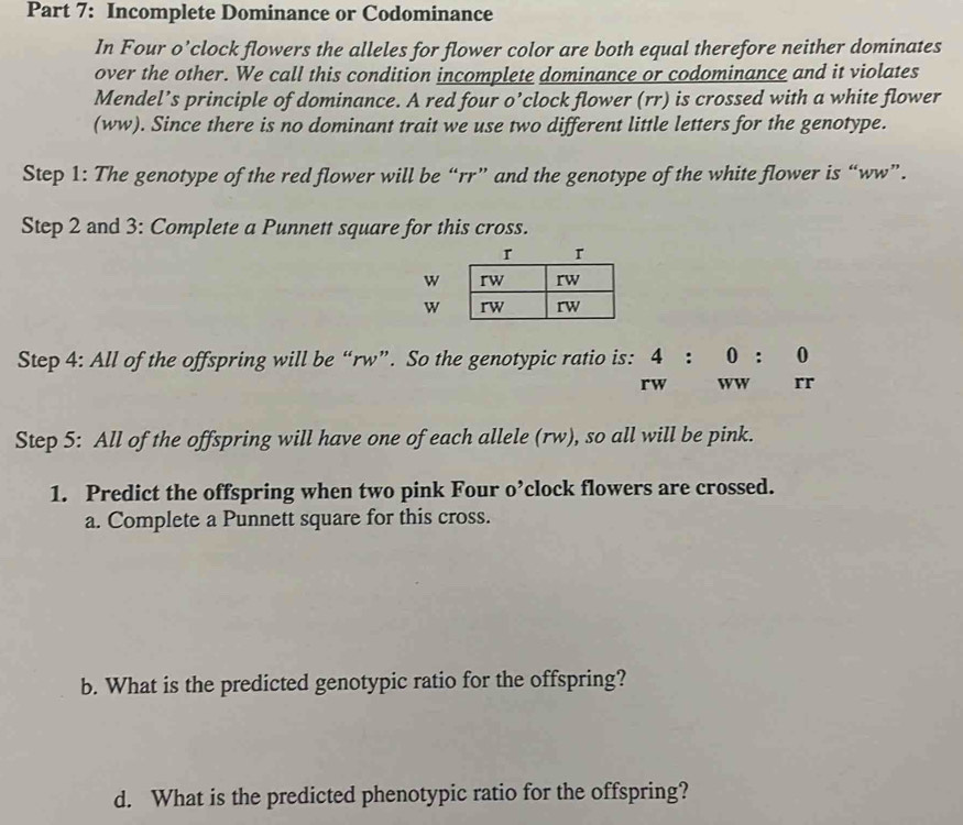 Solved: Incomplete Dominance or Codominance In Four o’clock flowers the ...