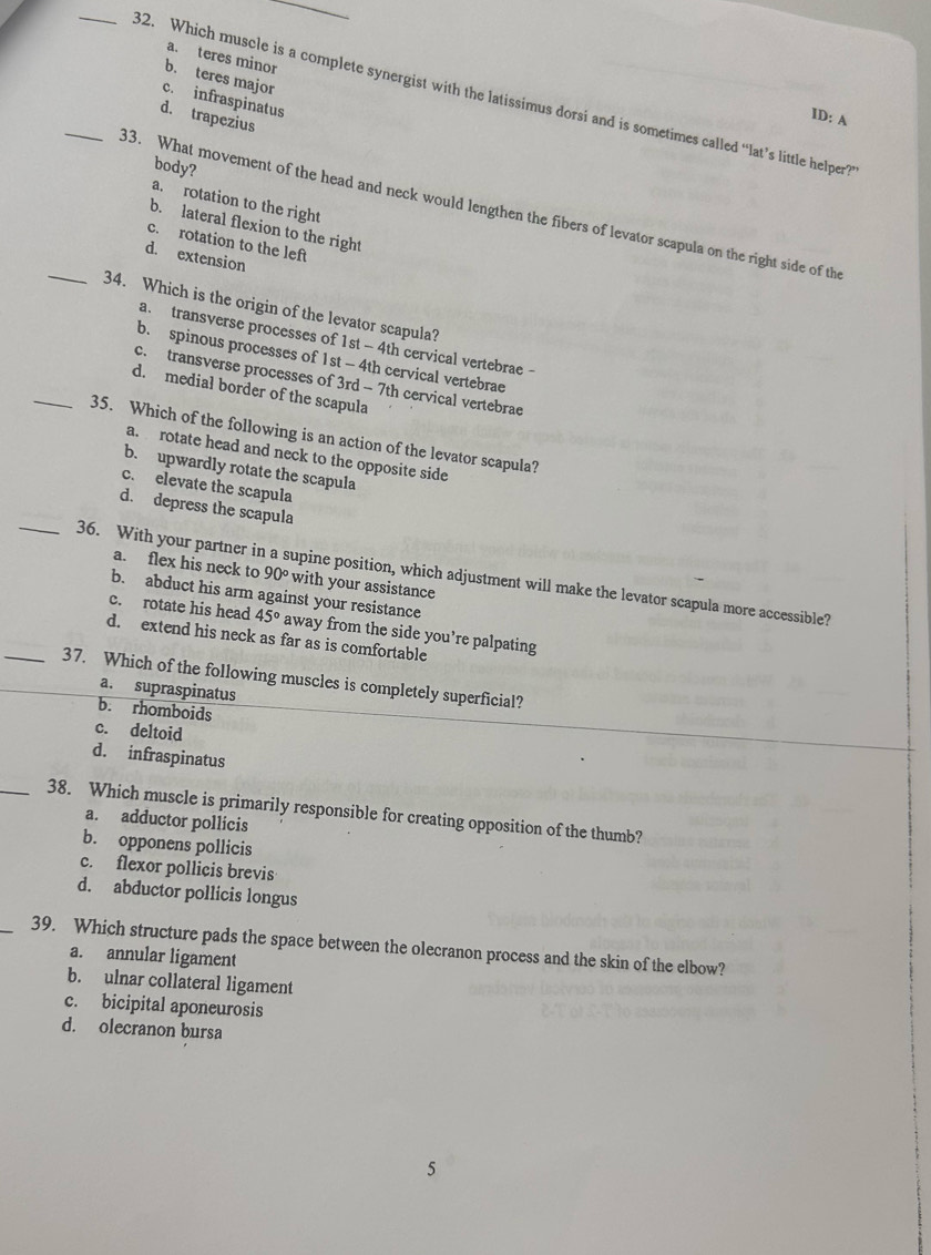 Solved: a. teres minor b. teres major _32. Which muscle is a complete ...