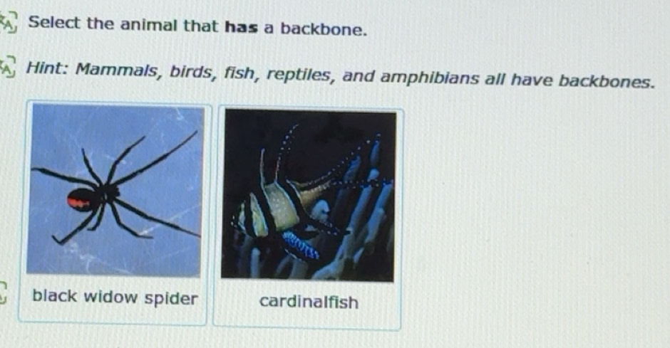 Gelöst:Select the animal that has a backbone. Hint: Mammals, birds ...
